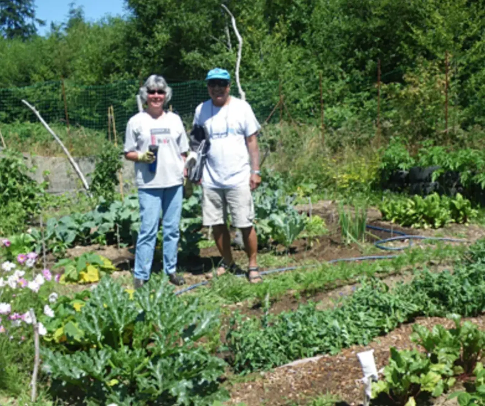 Toandos "P-Patch" Community Garden | Open Green Map