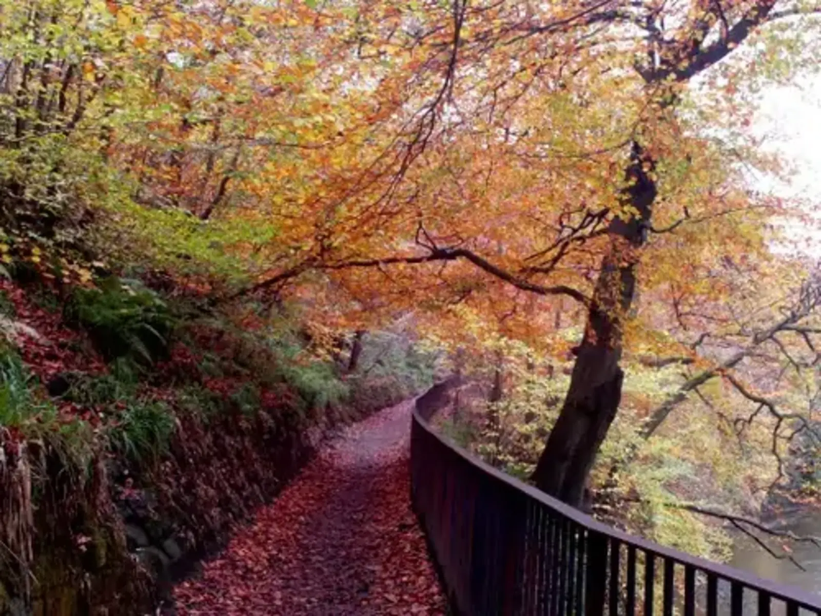 Park or Recreation Area | GreenMap.org