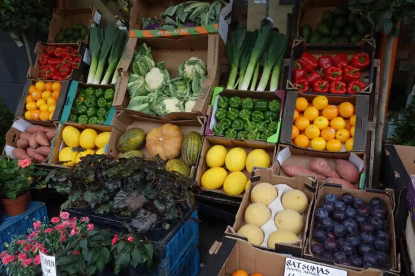 Map detail | GreenMap.org