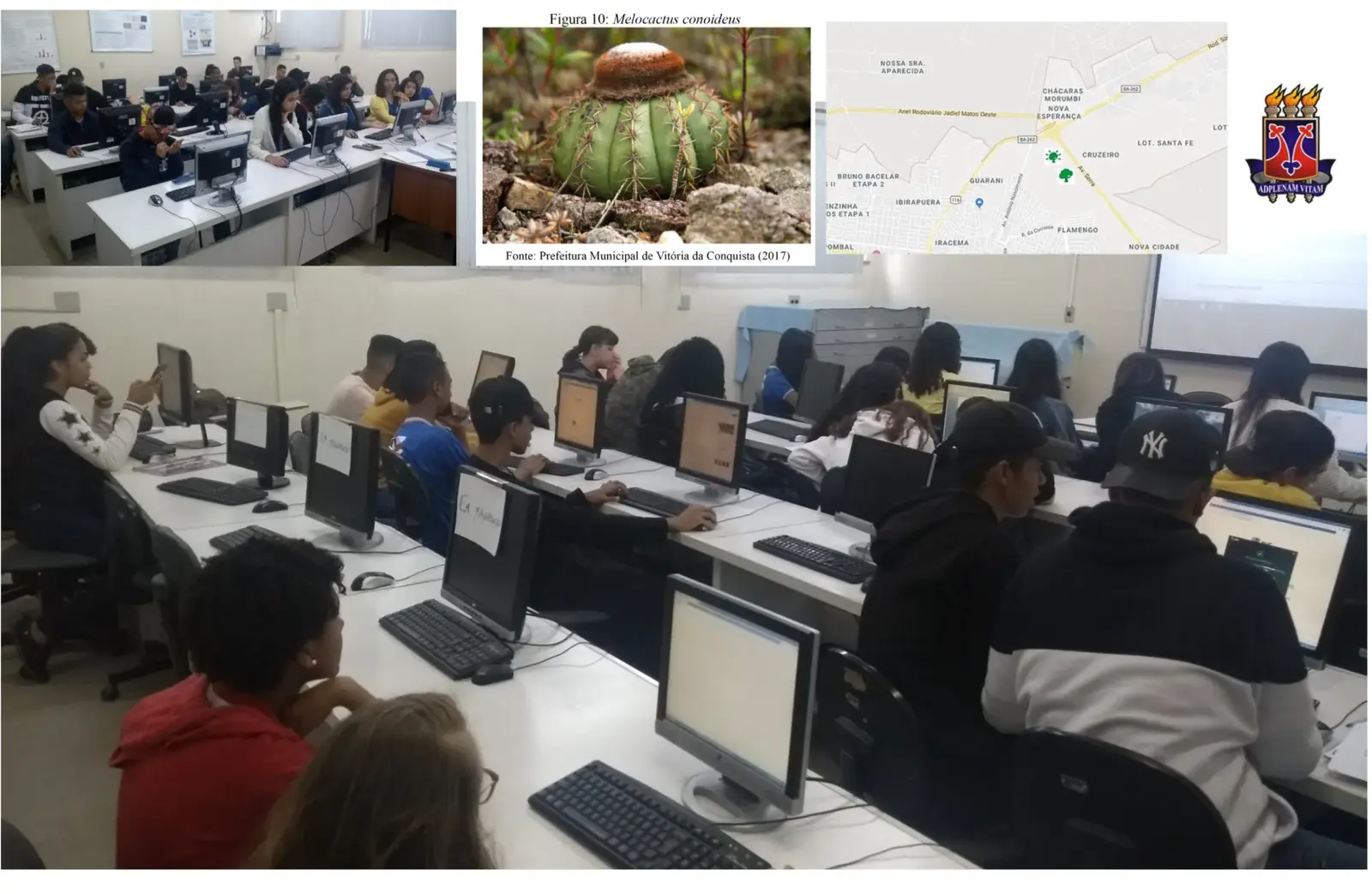 Case Study | GreenMap.org