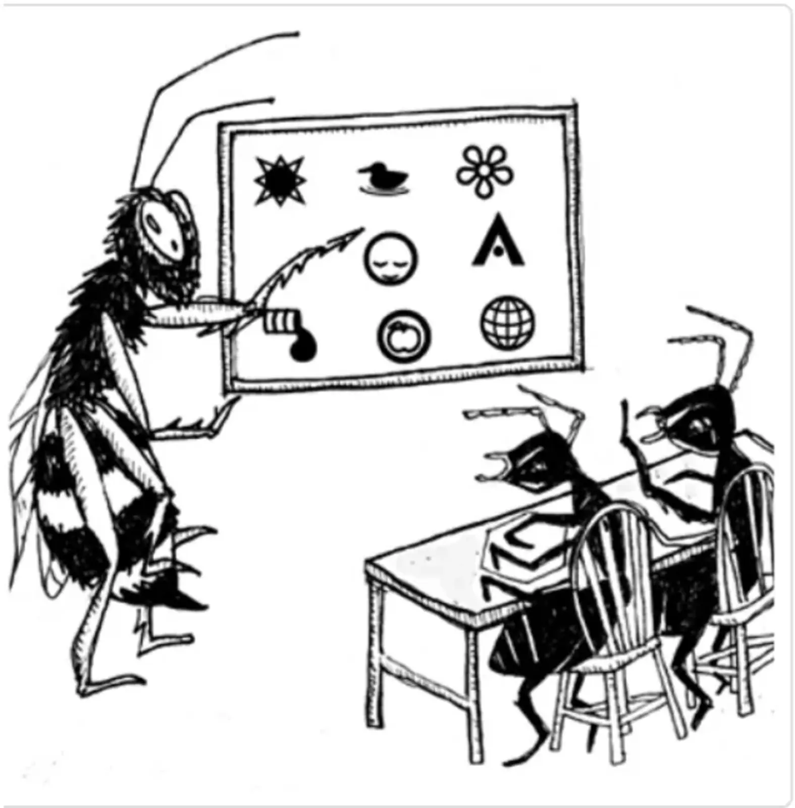 Illustrations and Graphics for Green Maps | GreenMap.org