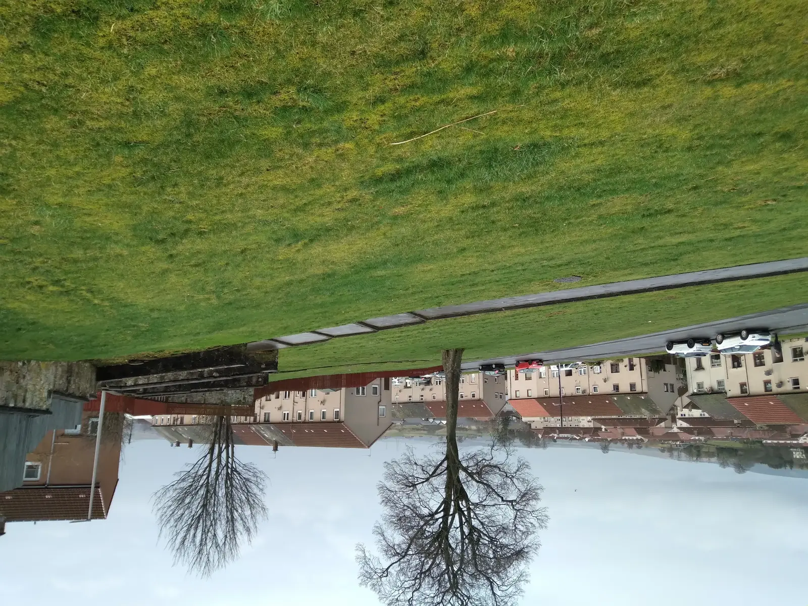 Map detail | GreenMap.org