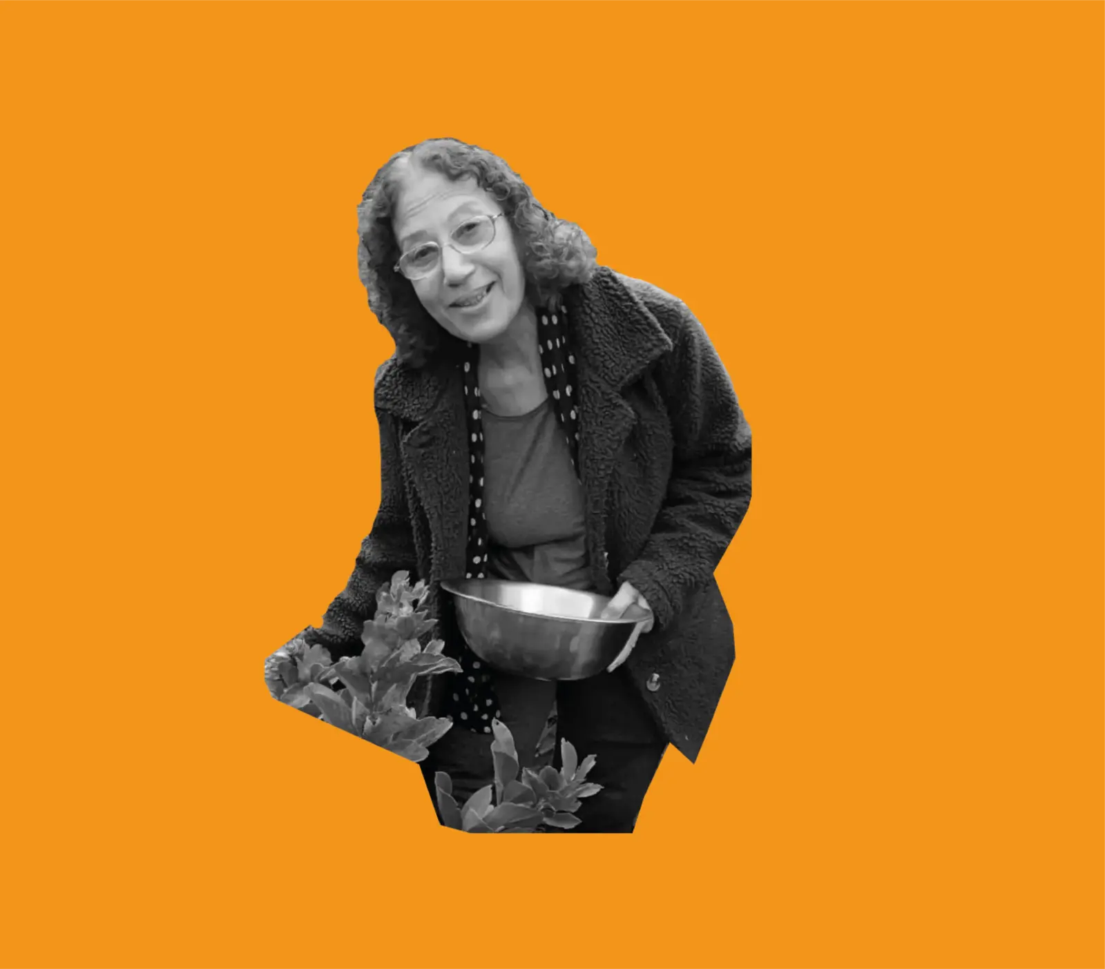 Case studies | GreenMap.org