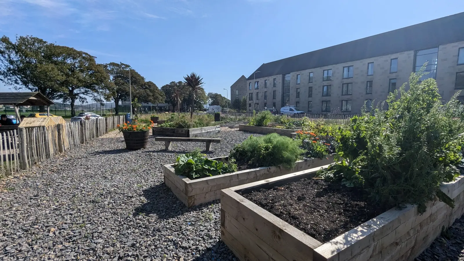 SKDT - Hubs of Transformation | GreenMap.org