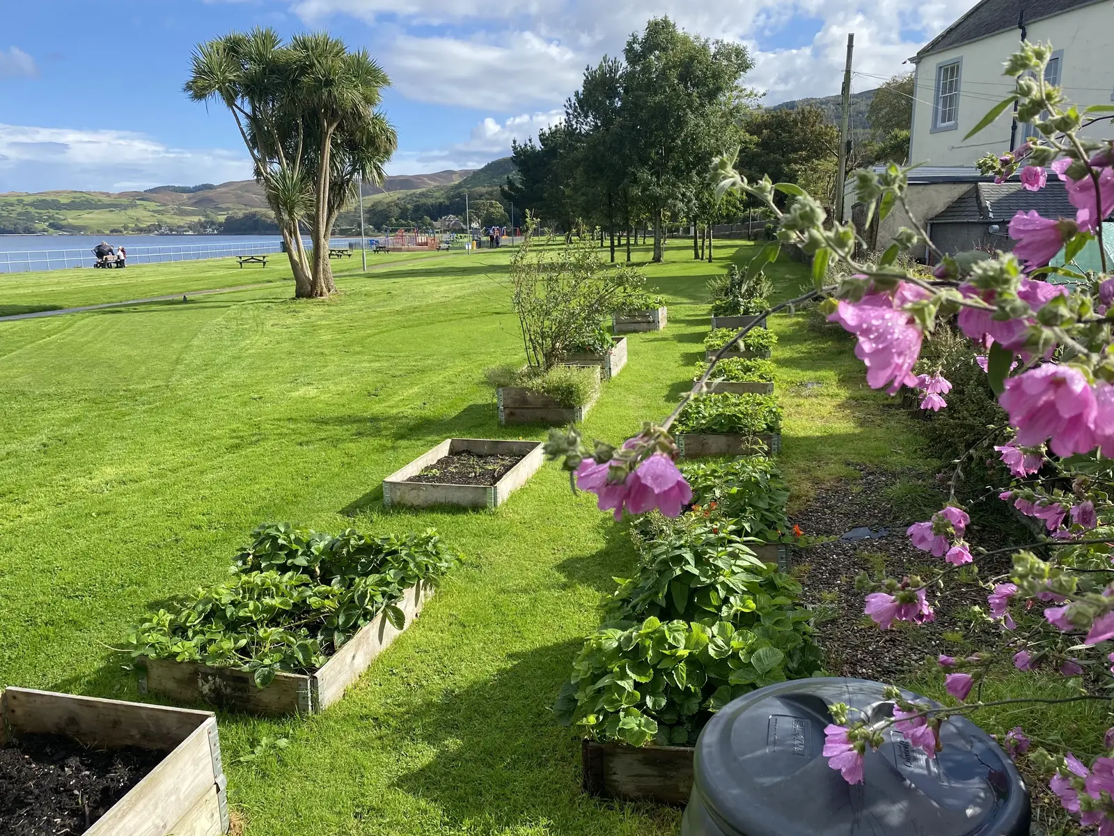 SKDT - Hubs of Transformation | GreenMap.org